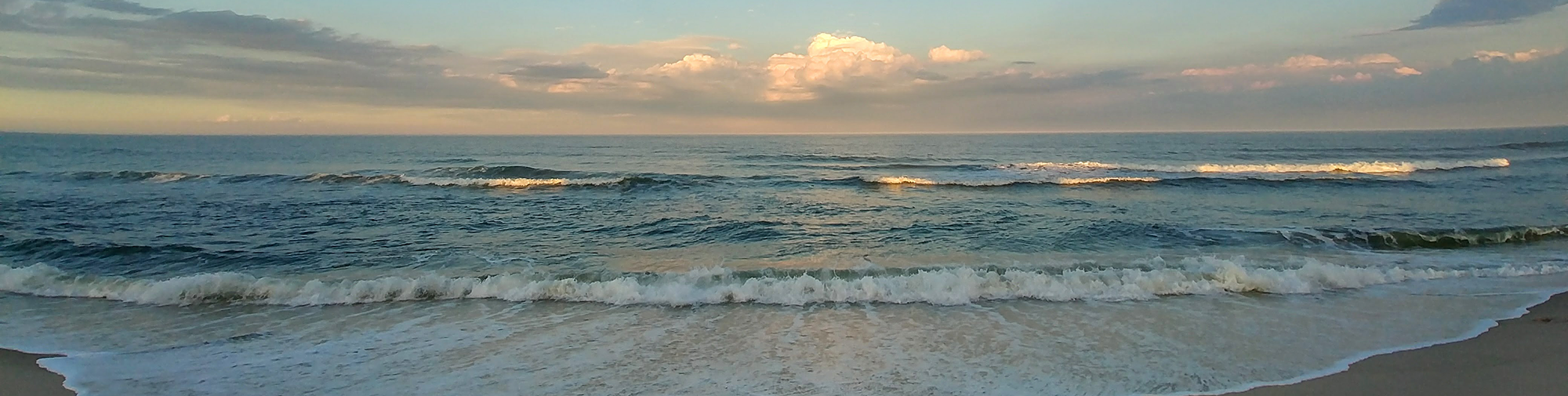 Renters - Ocean Beach III